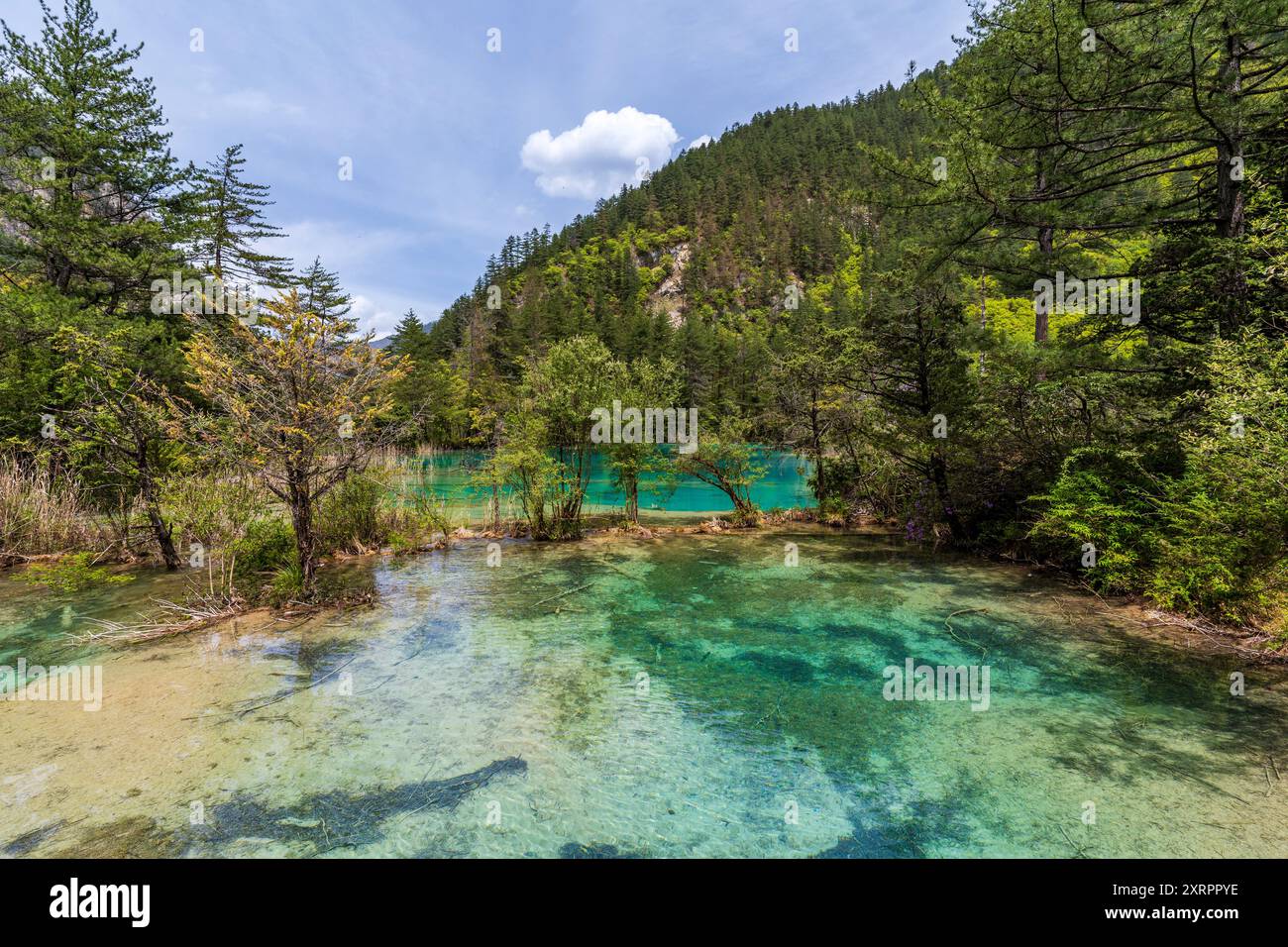 Double dragon lake hi-res stock photography and images - Alamy