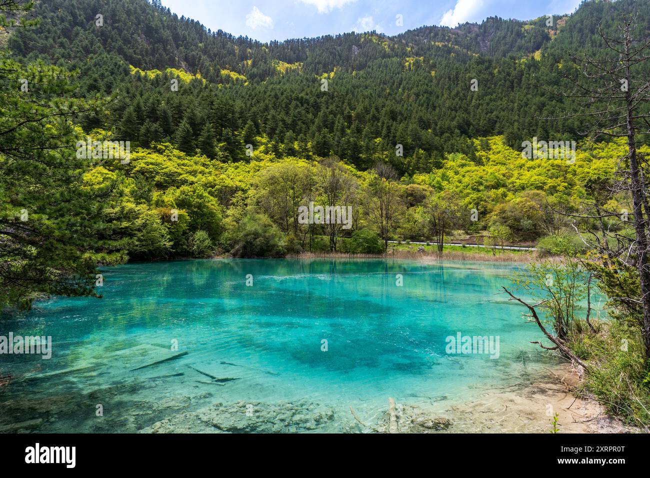 Double dragon lake hi-res stock photography and images - Alamy