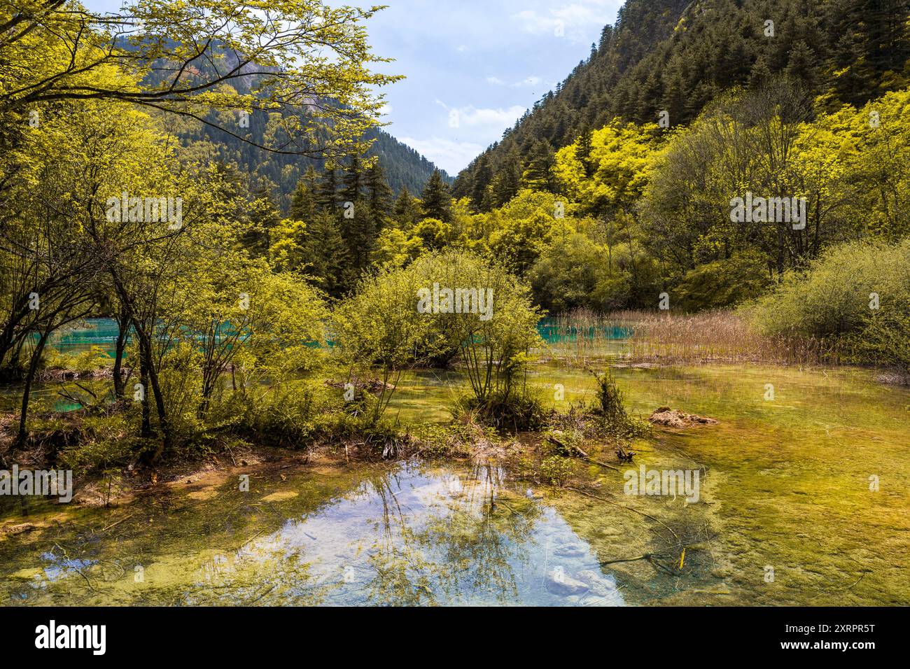 Double dragon lake hi-res stock photography and images - Alamy