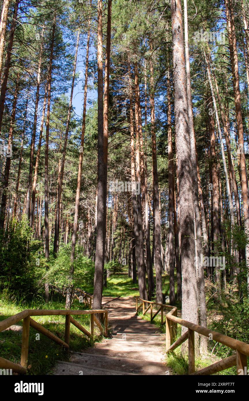 Landscape of natural park, path of the birth of the Cuervo River Stock ...