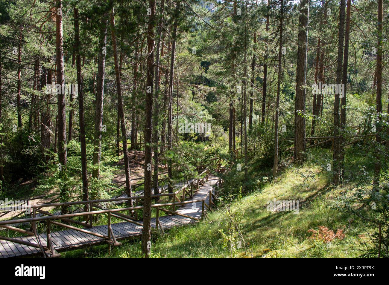 Landscape of natural park, path of the birth of the Cuervo River Stock ...