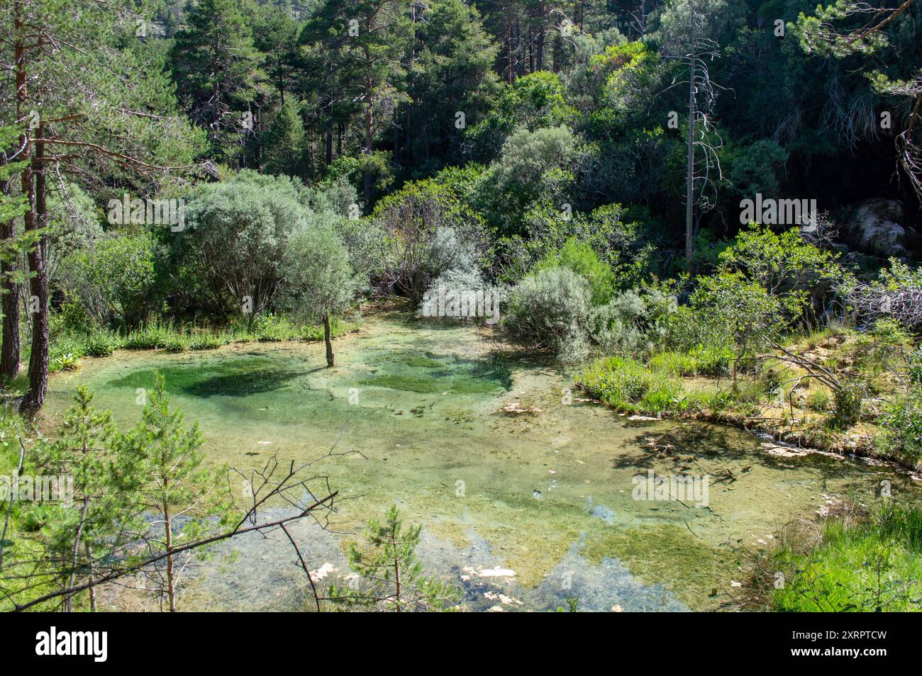 Landscape of natural park, path of the birth of the Cuervo River Stock ...