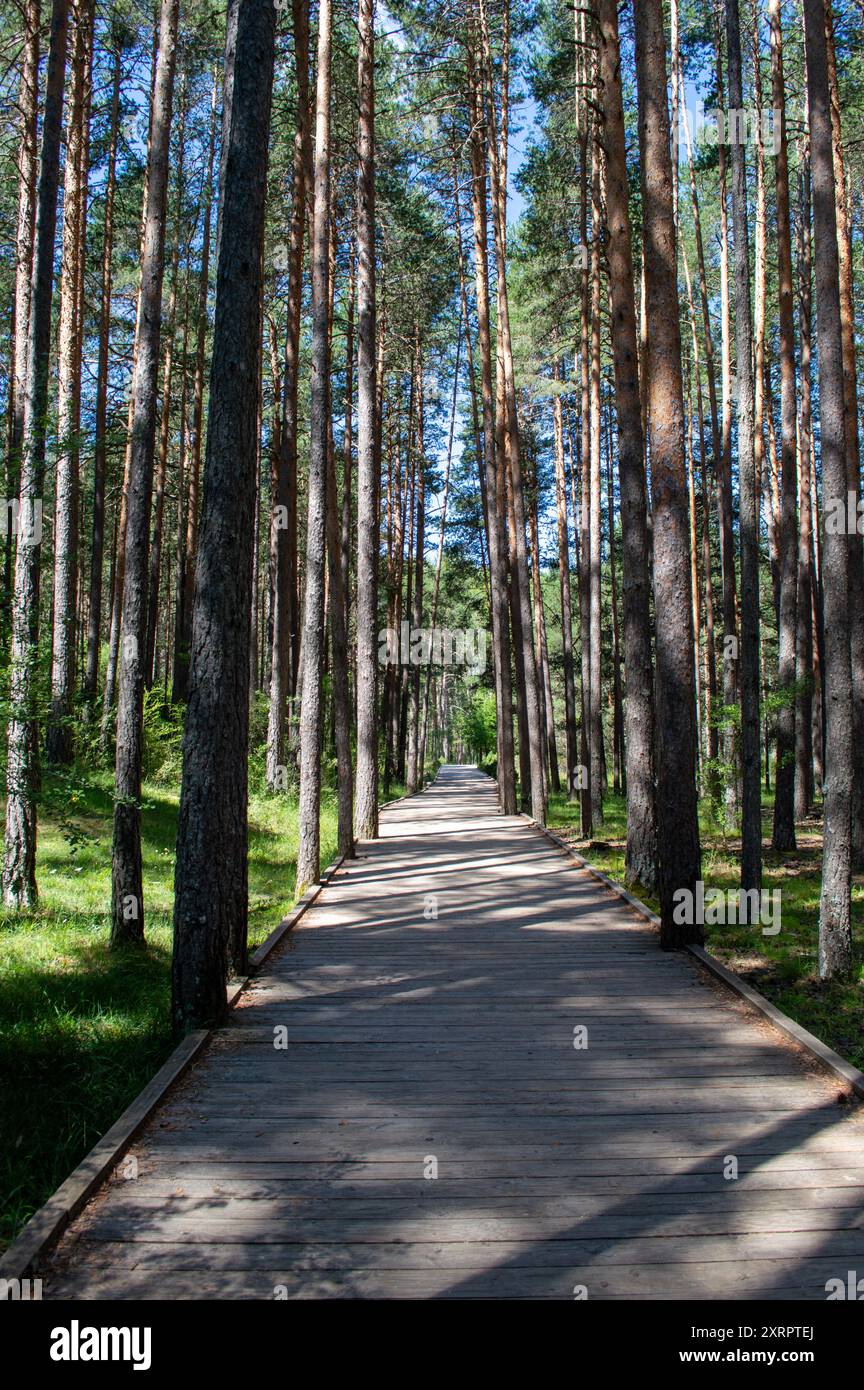 Landscape of natural park, path of the birth of the Cuervo River Stock ...
