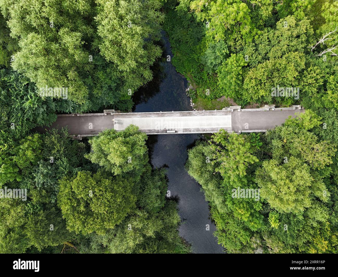 An aerial view of a bridge over a river surrounded by lush green forest ...