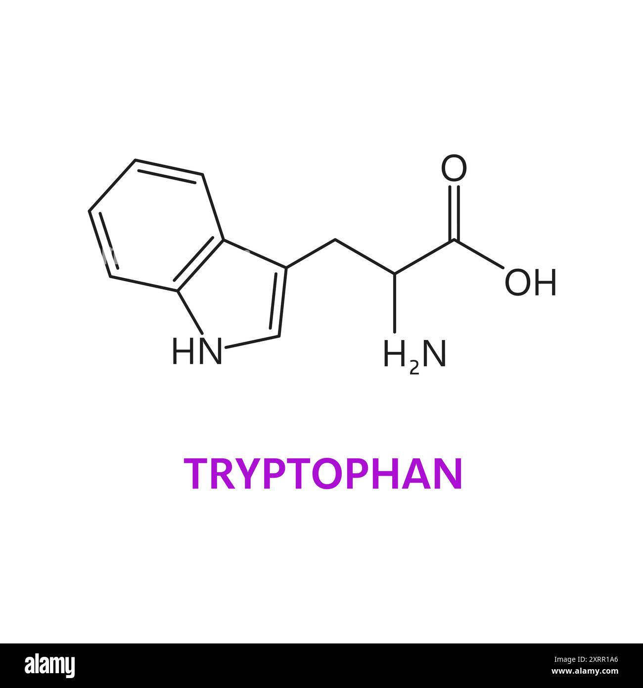 Tryptophan amino acid chemical molecule, essential chain structure ...
