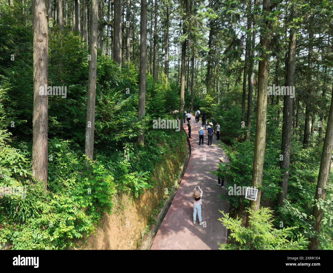 Rural health transformation hi-res stock photography and images - Alamy