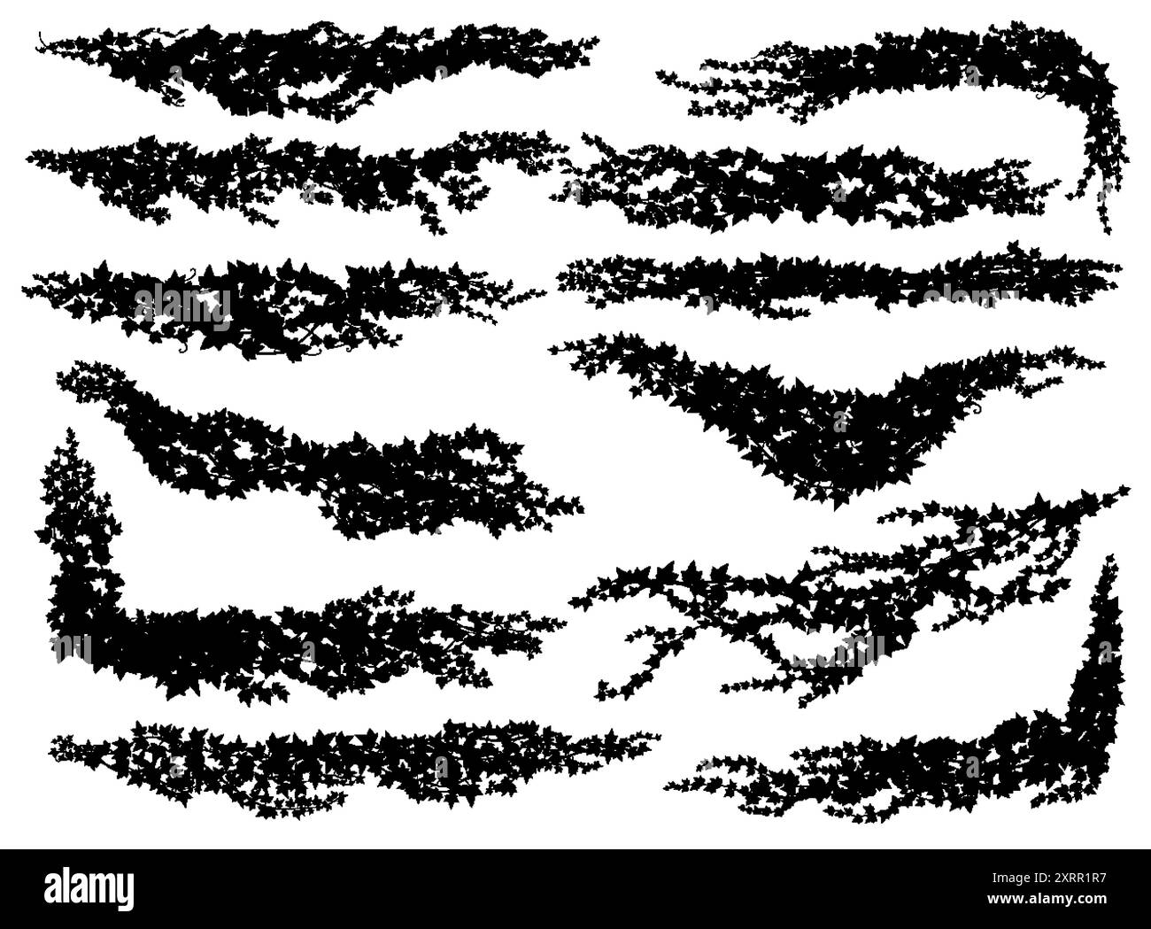 Wall ivy vines Cut Out Stock Images & Pictures - Alamy