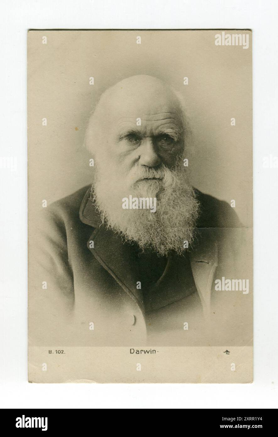Charles robert darwin frs frgs fls fzs jp hi-res stock photography and ...