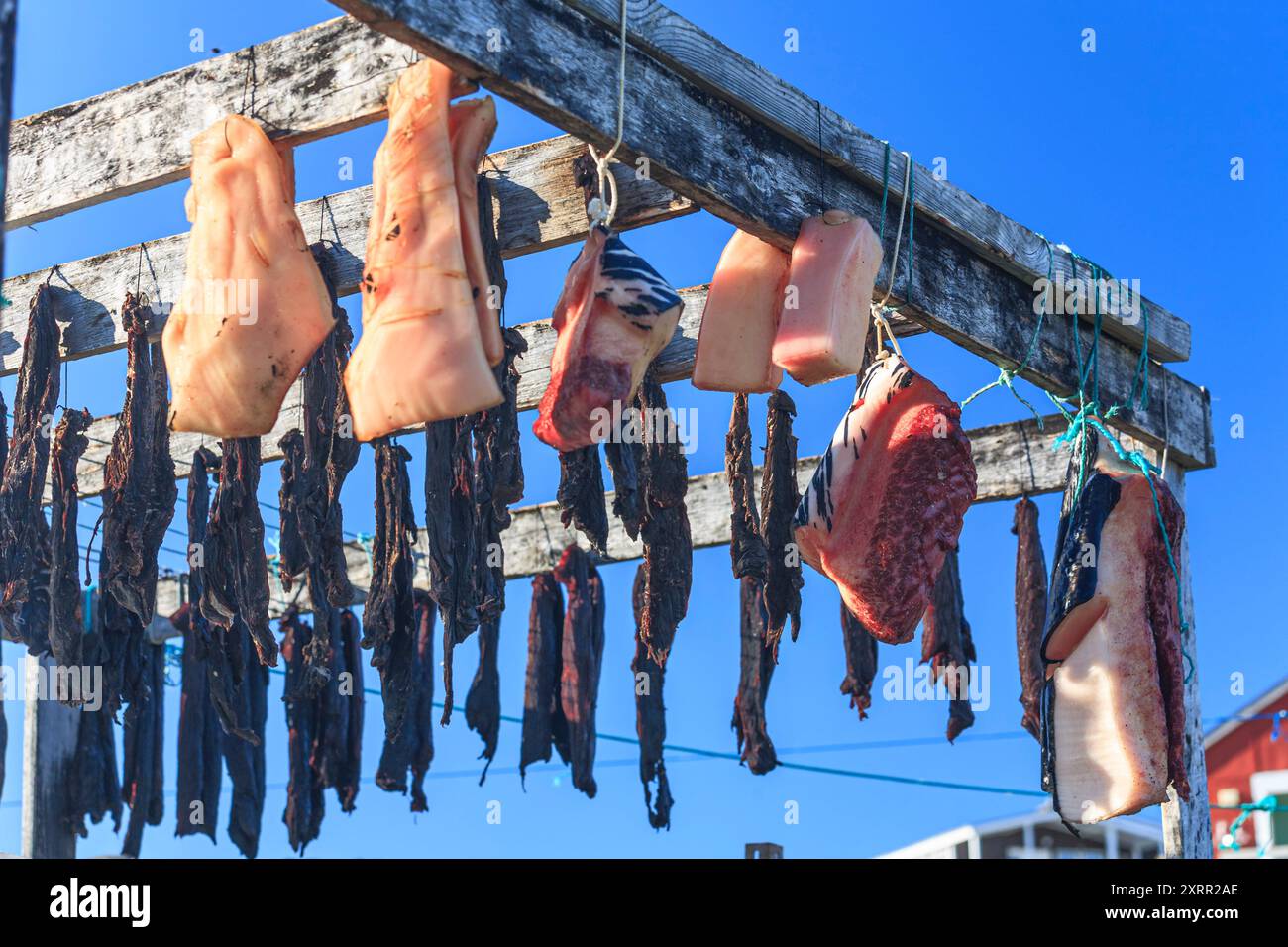 Fish drying on a wooden rack in front of a house, inuit settlement ...