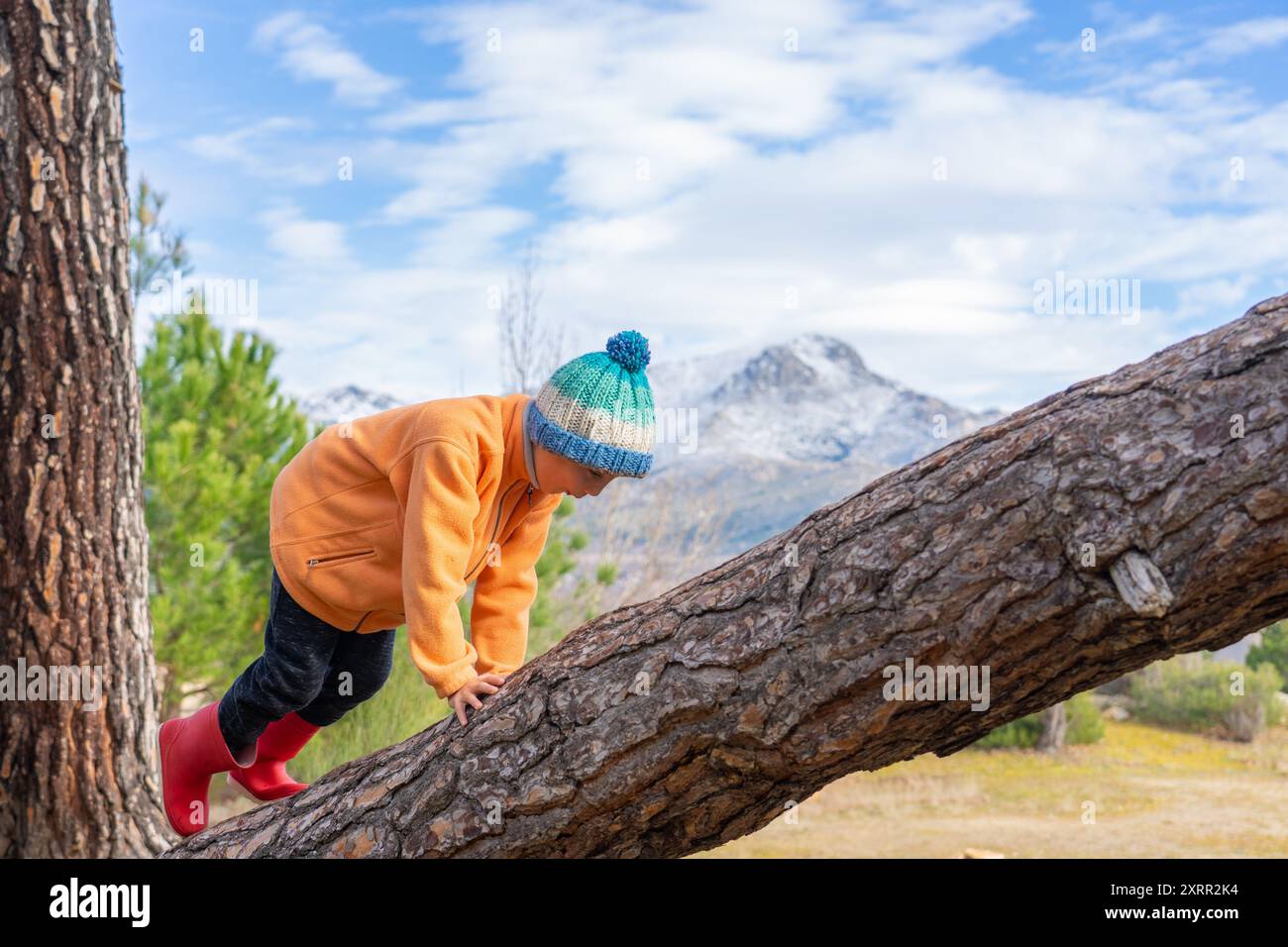 Boy climbing the trunk of a tree on a cold day in nature Stock Photo ...