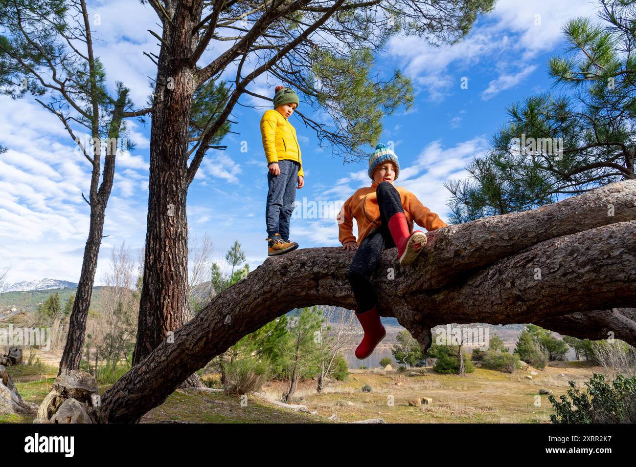 Children playing on trees hi-res stock photography and images - Alamy