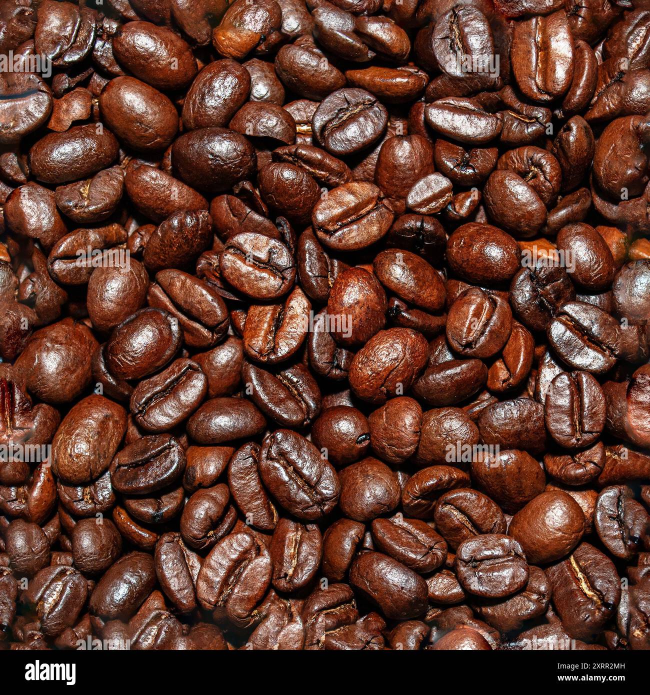 Detailed seamless pattern featuring roasted coffee beans. Perfect ...
