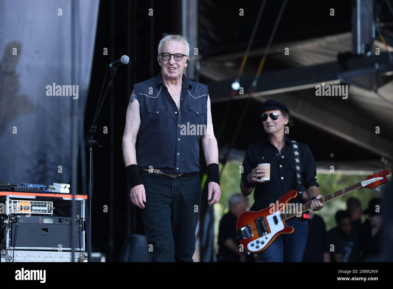 Rat scabies 2024 hi-res stock photography and images - Alamy