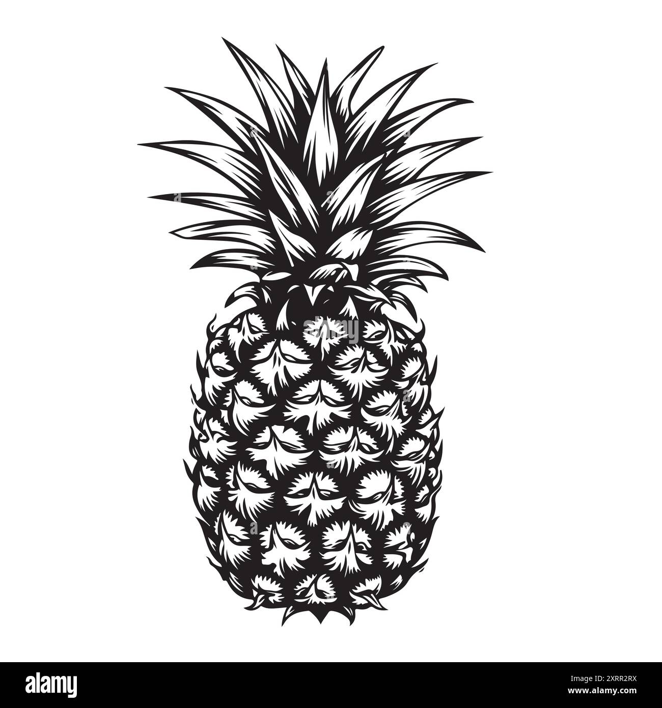 Image of pineapple fruit. Vector black and white illustration Stock ...