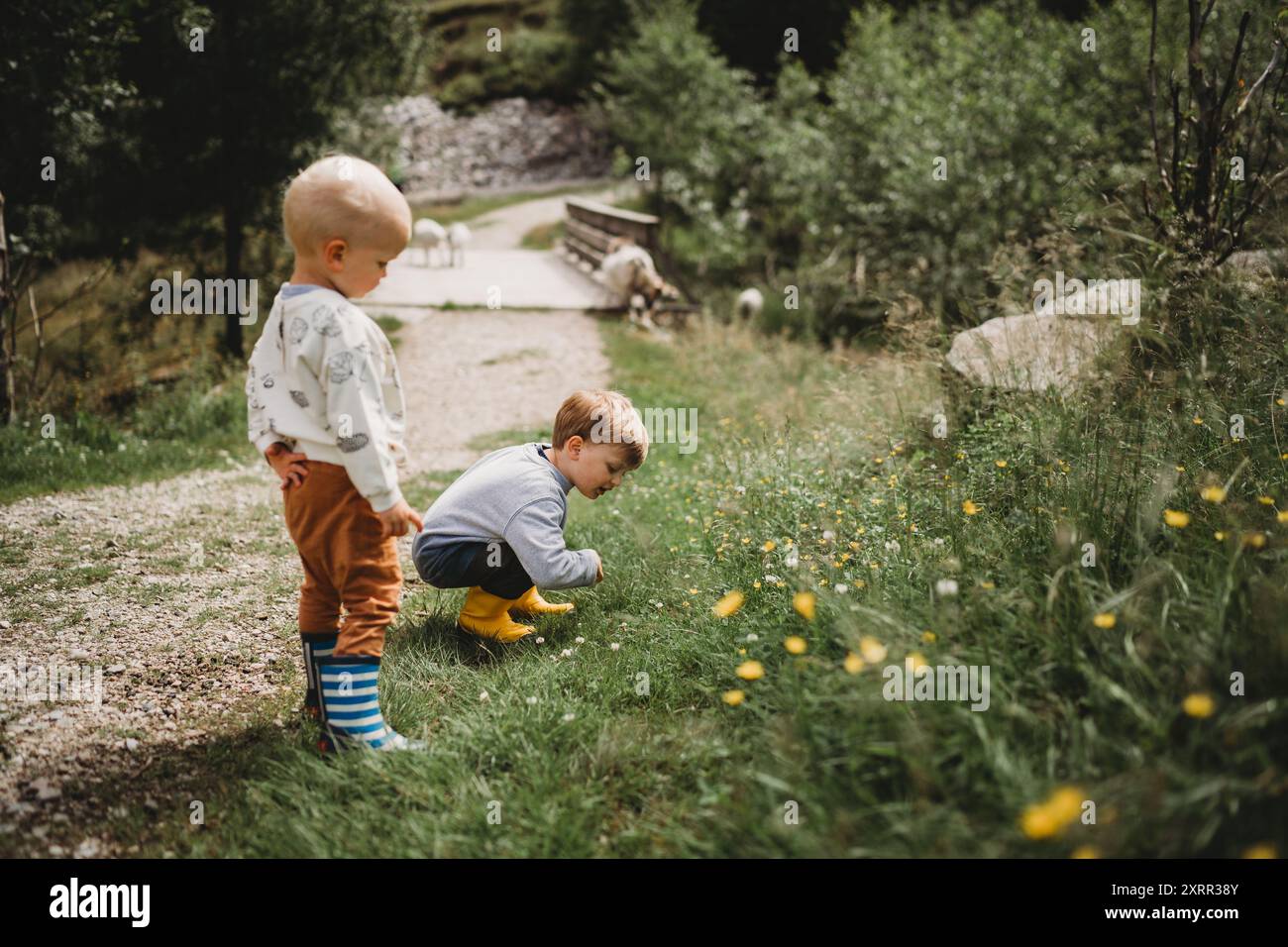 Children boy siblings traveling hi-res stock photography and images - Alamy