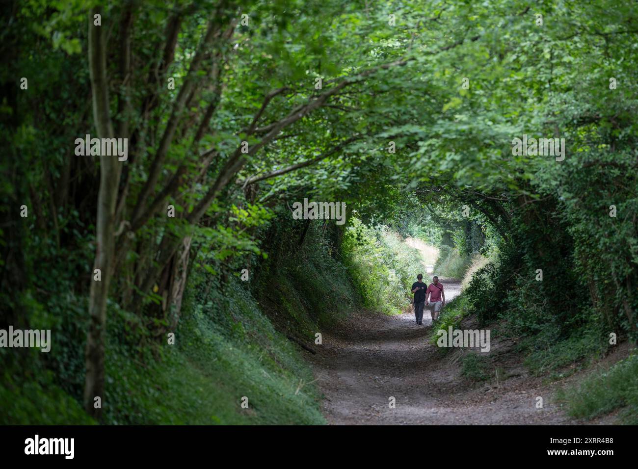 The ancient Roman Stane Street (Roman Road) is used by two figures, on ...