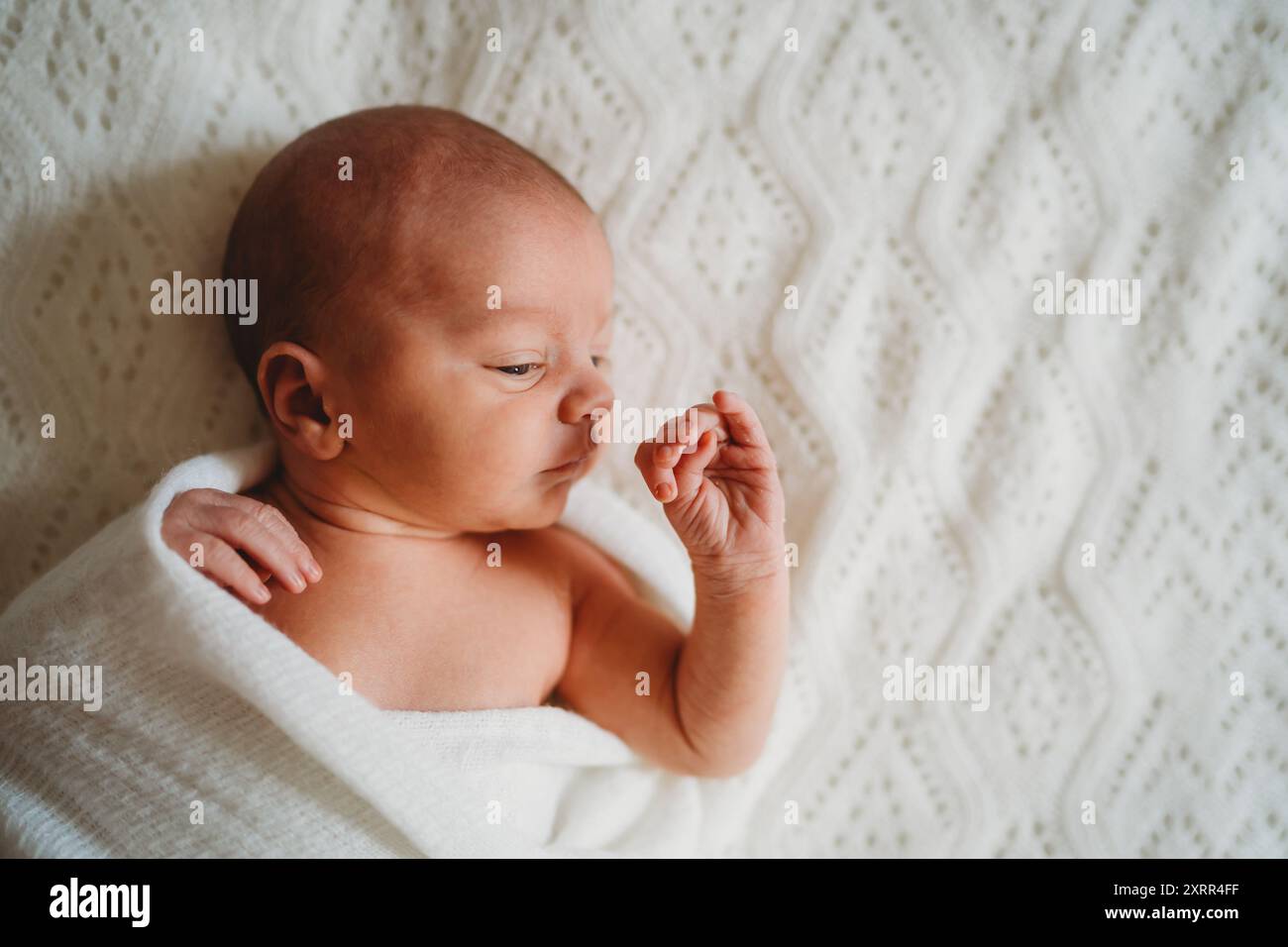 Portrait of calm newborn baby boy wrapped in white showing hand Stock ...