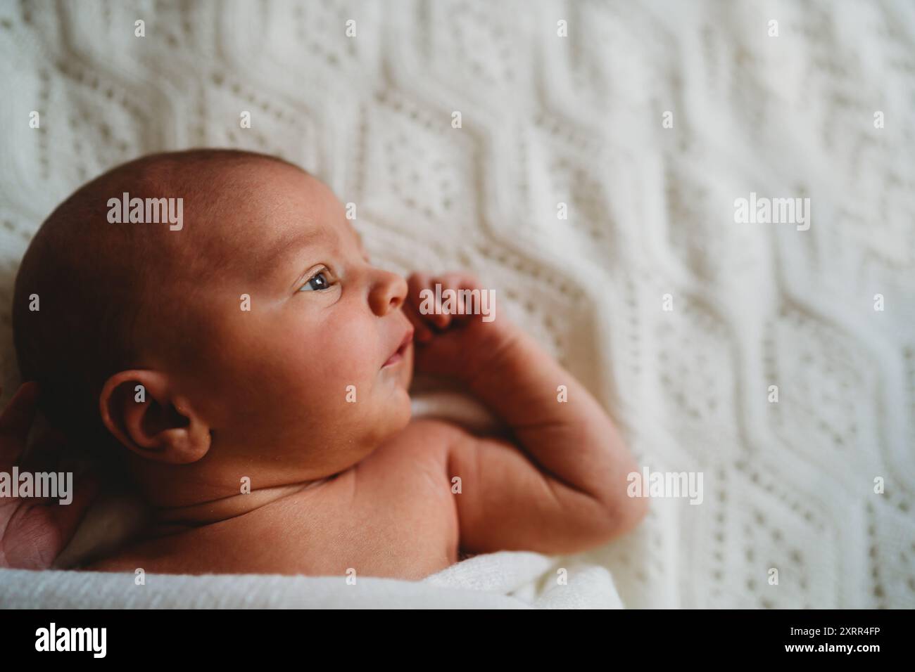 Portrait profile adorable newborn baby boy wrapped in white Stock Photo ...