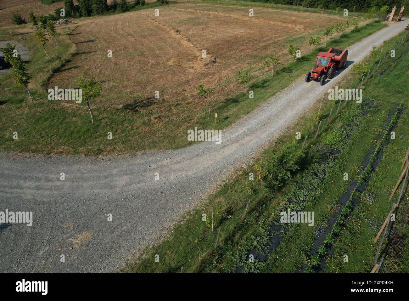 Farmer driving red tractor on gravel road near cultivated field Stock ...