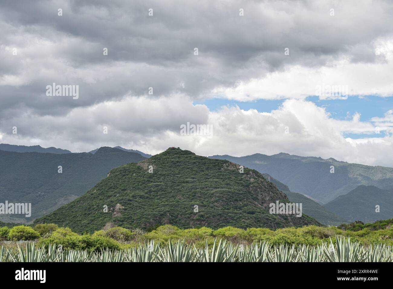 Agave field in a beautiful mountain landscape in Oaxaca Mexico Stock ...