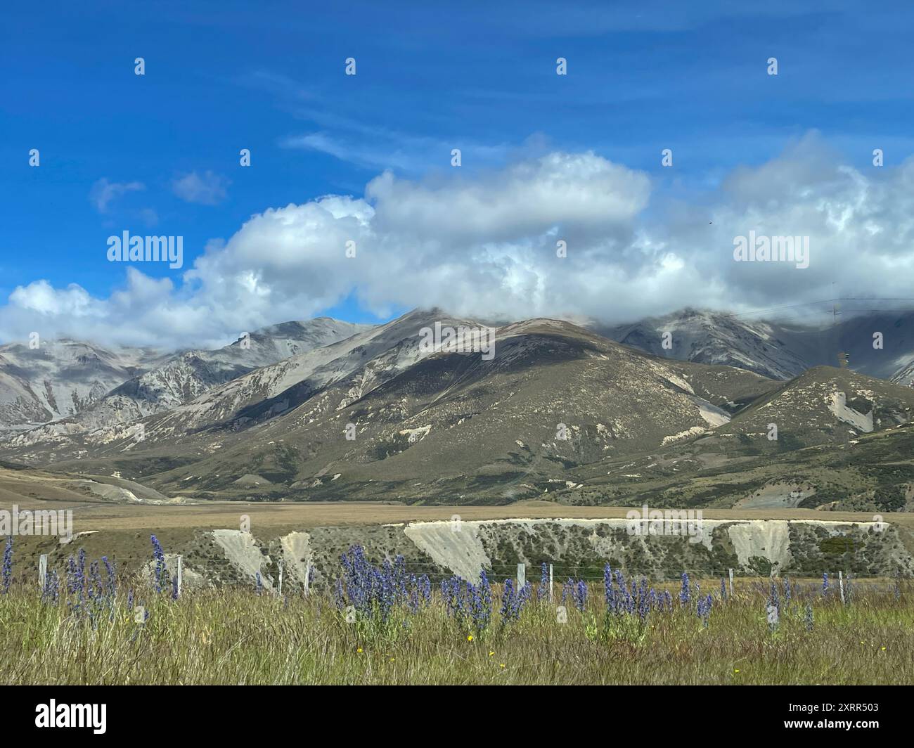 Visit to ward island visit to ward island hi-res stock photography and ...