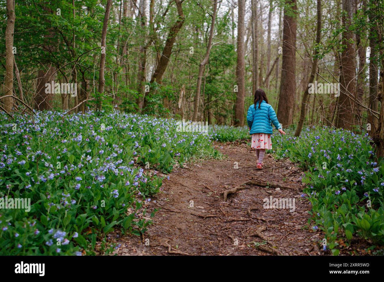 Small girl walking alone on flower-lined pathway in woods Stock Photo ...