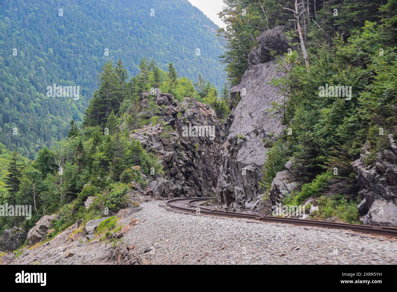 Railway track curving through a lush mountain forest with rocky cliffs ...