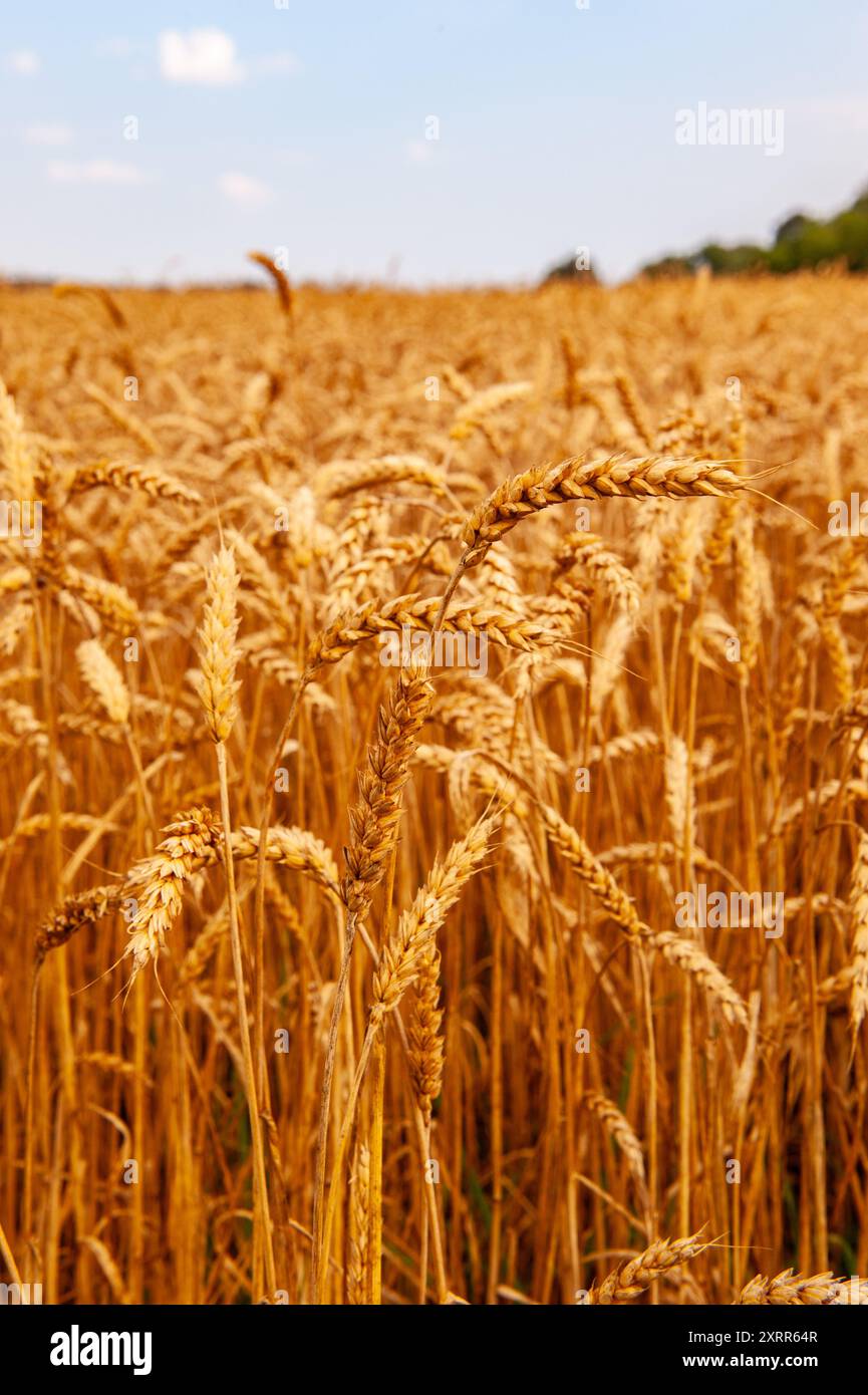 Negataive space hi-res stock photography and images - Alamy