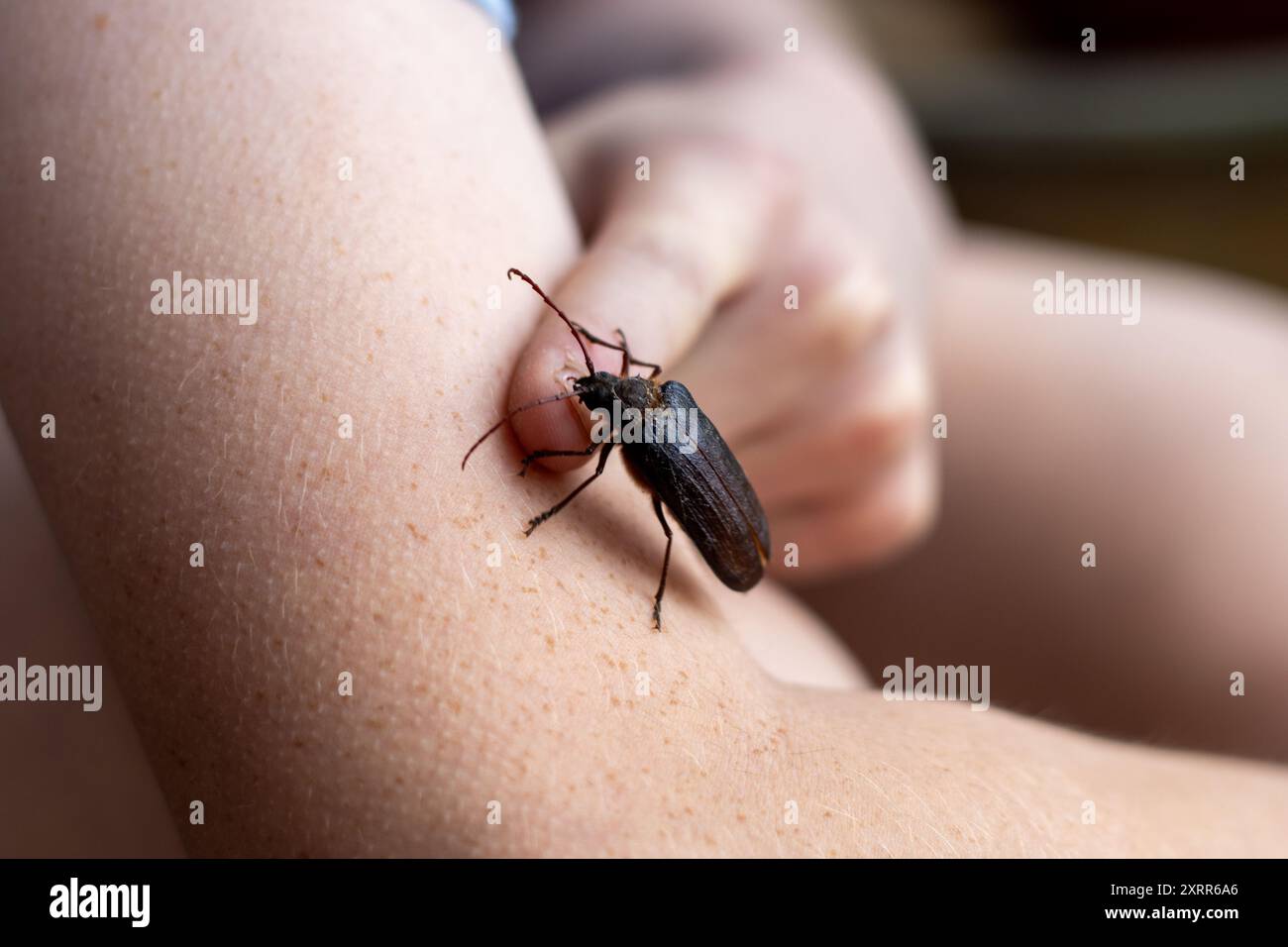 Interaction arm hi-res stock photography and images - Alamy