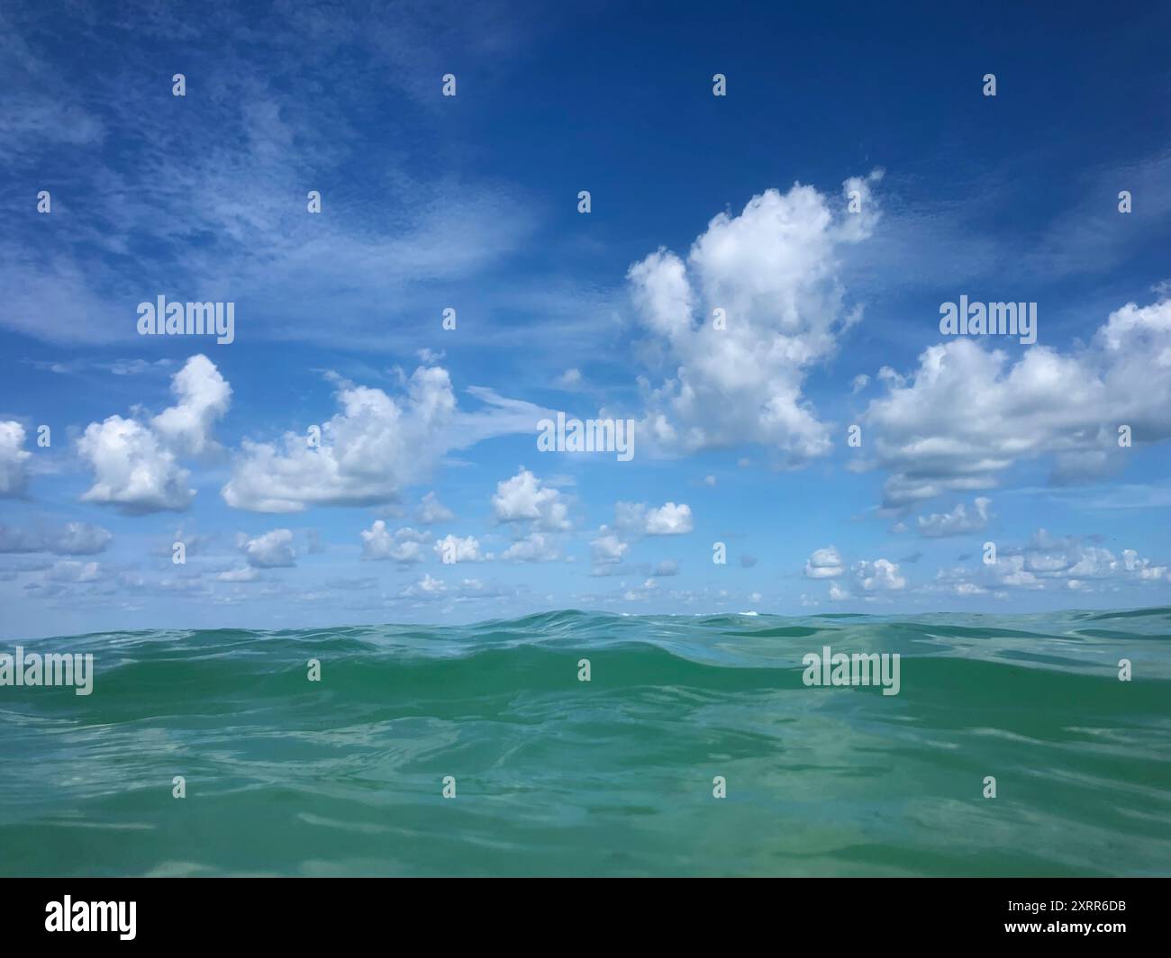 Water turquoise ocean green close hi-res stock photography and images ...