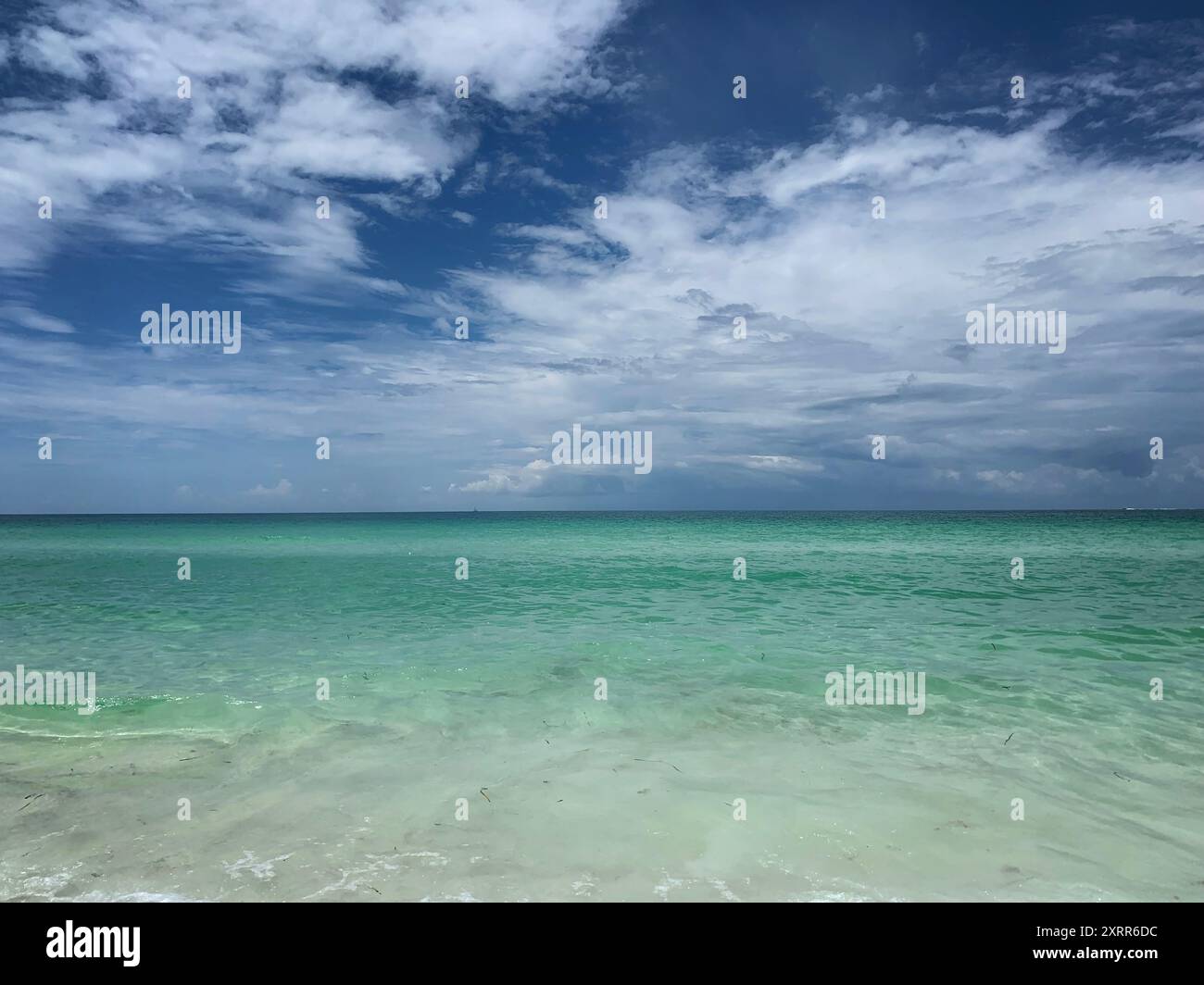 Honeymoon island gulf mexico hi-res stock photography and images - Alamy