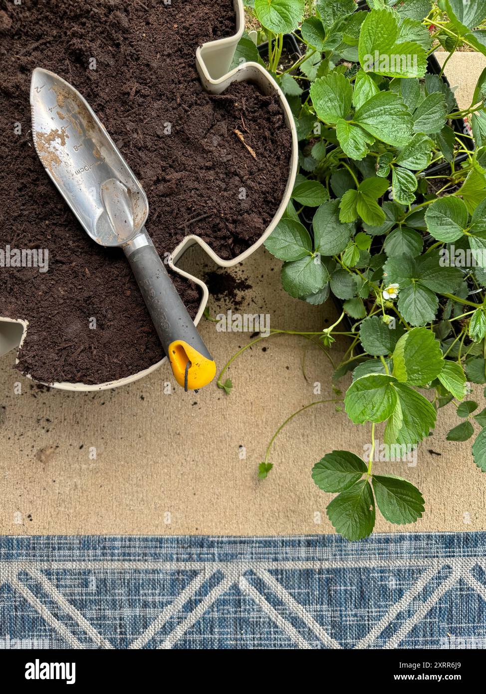 Gardening tools and supplies hi-res stock photography and images - Alamy