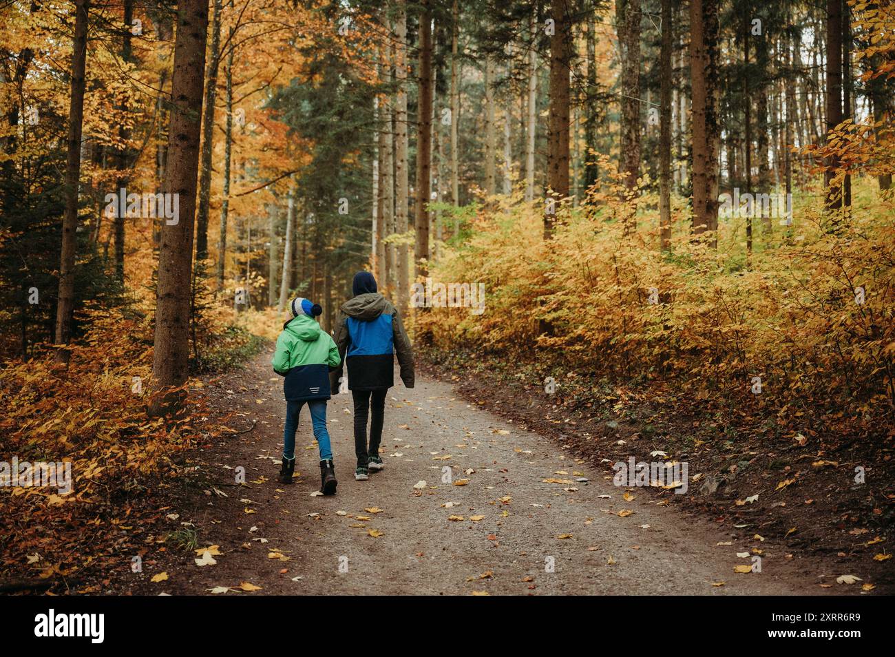 Two brothers walking together in a forest in autumn Stock Photo - Alamy