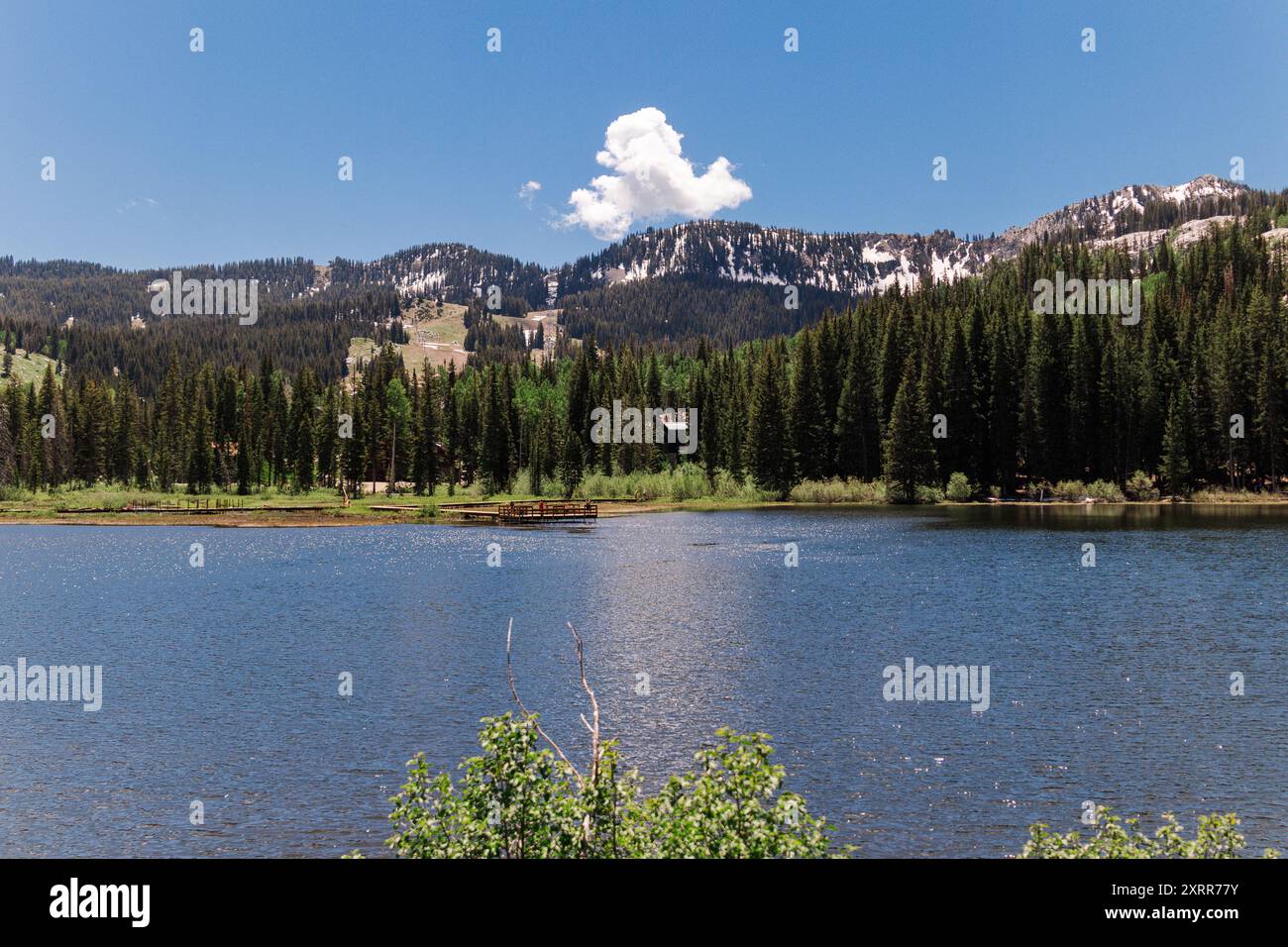 Serene backdrop of nature hi-res stock photography and images - Alamy