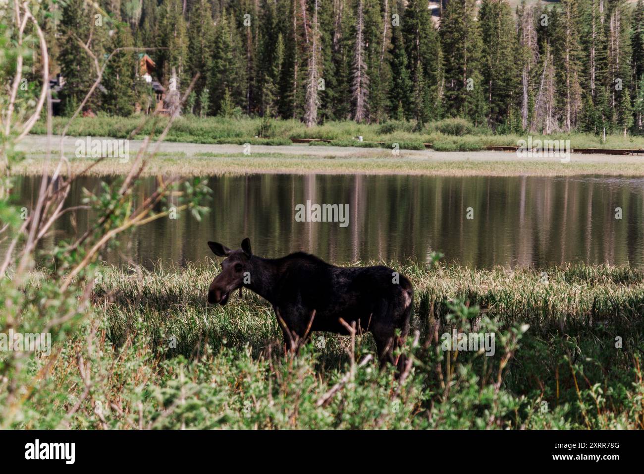 Vibrant mountain backdrop hi-res stock photography and images - Alamy