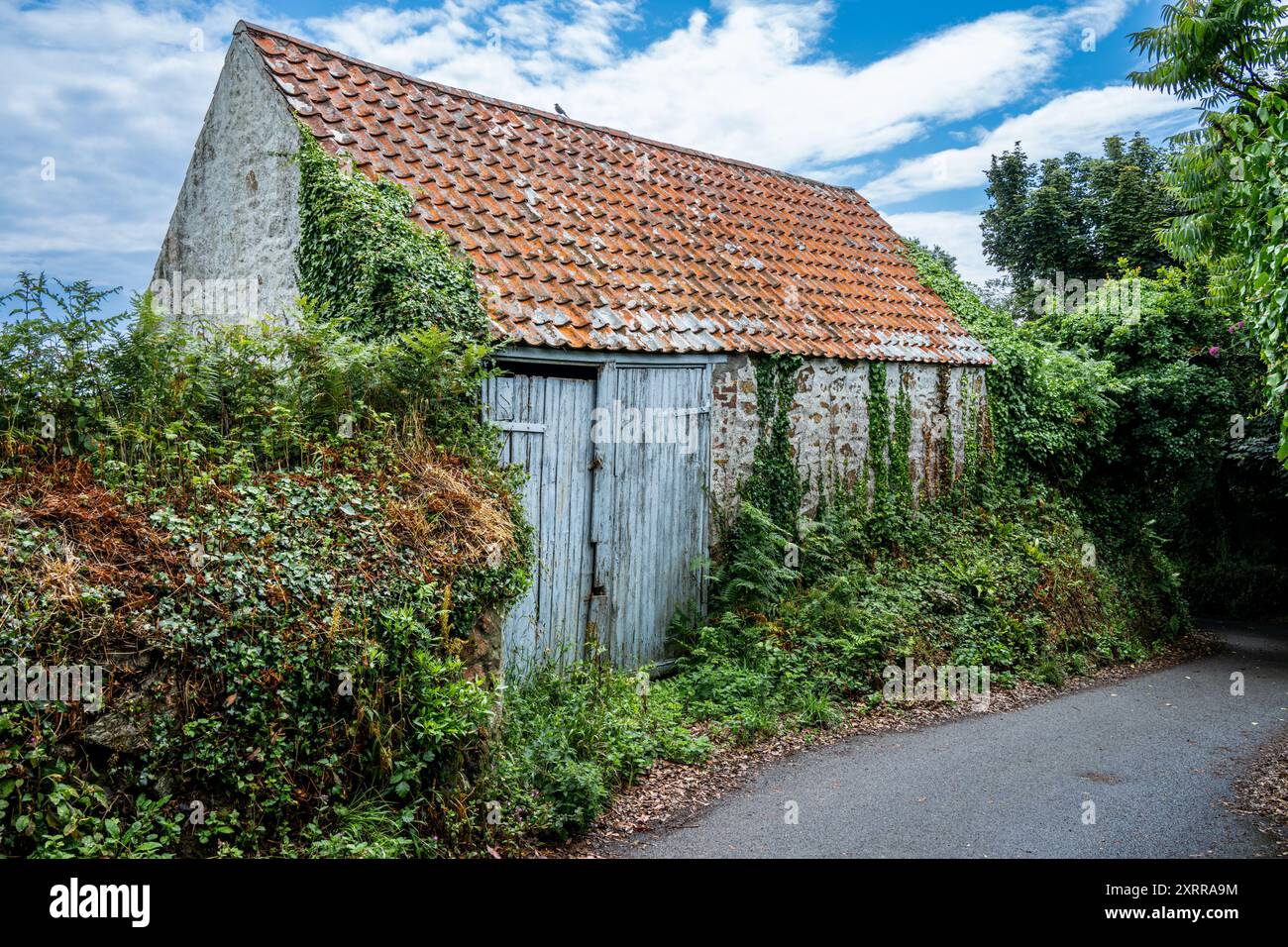 Pretty Farm Barn with Blue Door, Guernsey, Channel Islands, UK Stock ...