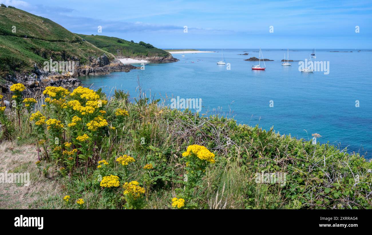 Herm Island View Along West Coast with Wild Flowers in Summer, Channel ...