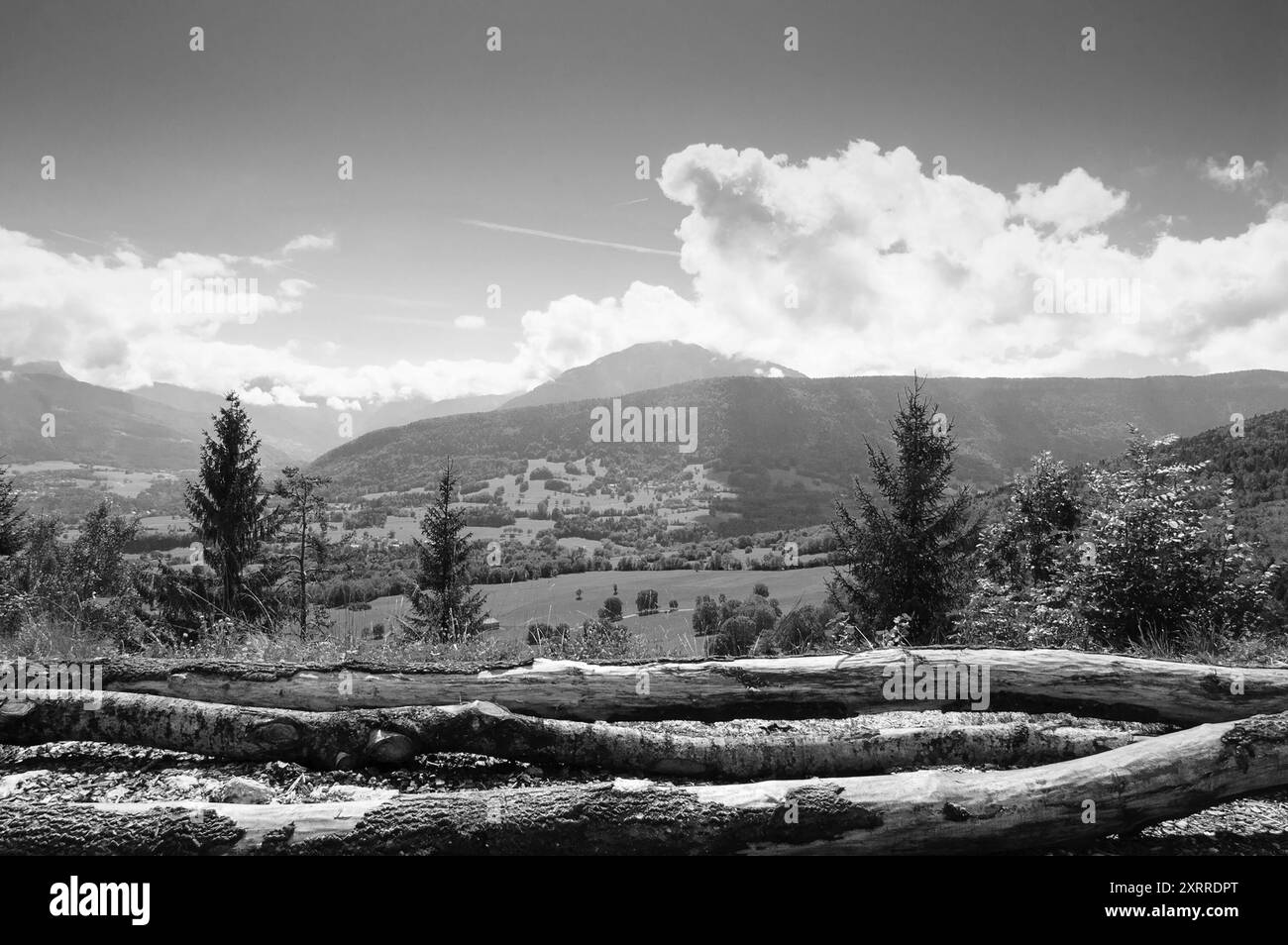 Scenic alpine view with fresh cut pine logs at foreground. Annecy lake ...