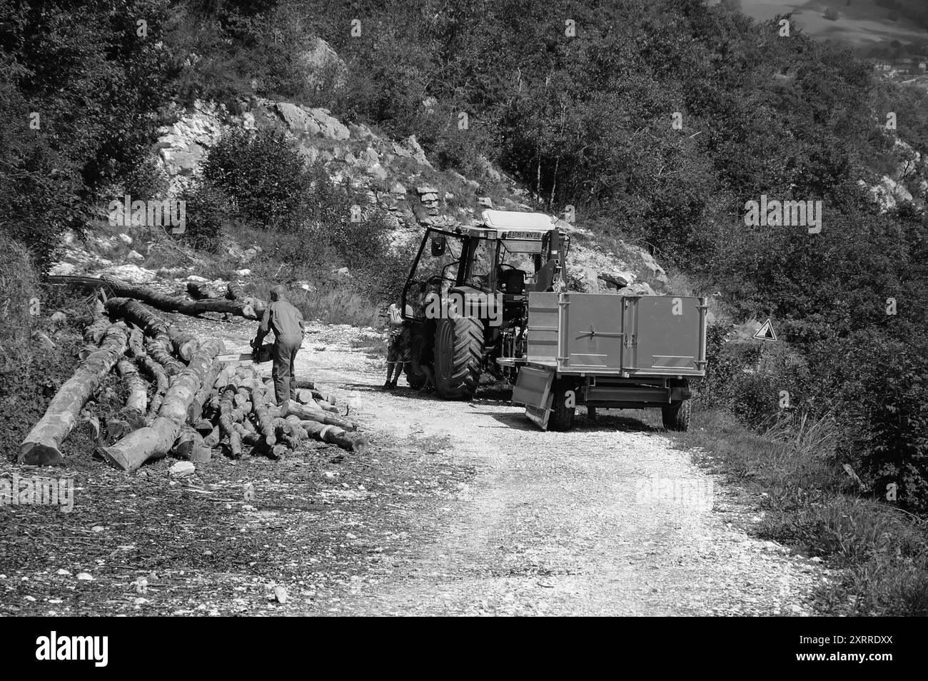 Cutting tree branch hand Black and White Stock Photos & Images - Alamy