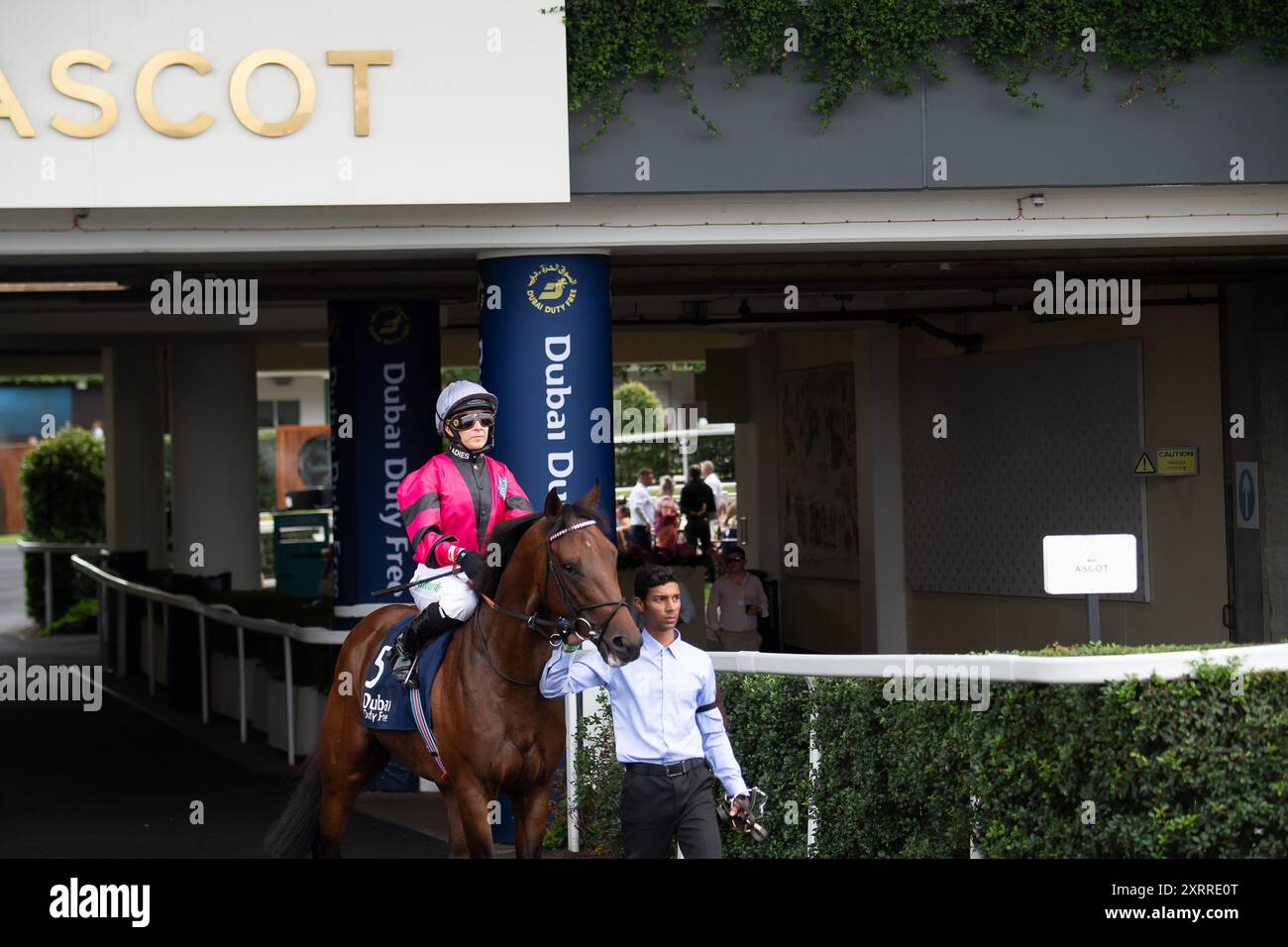 Sam hawkens horse hi-res stock photography and images - Alamy