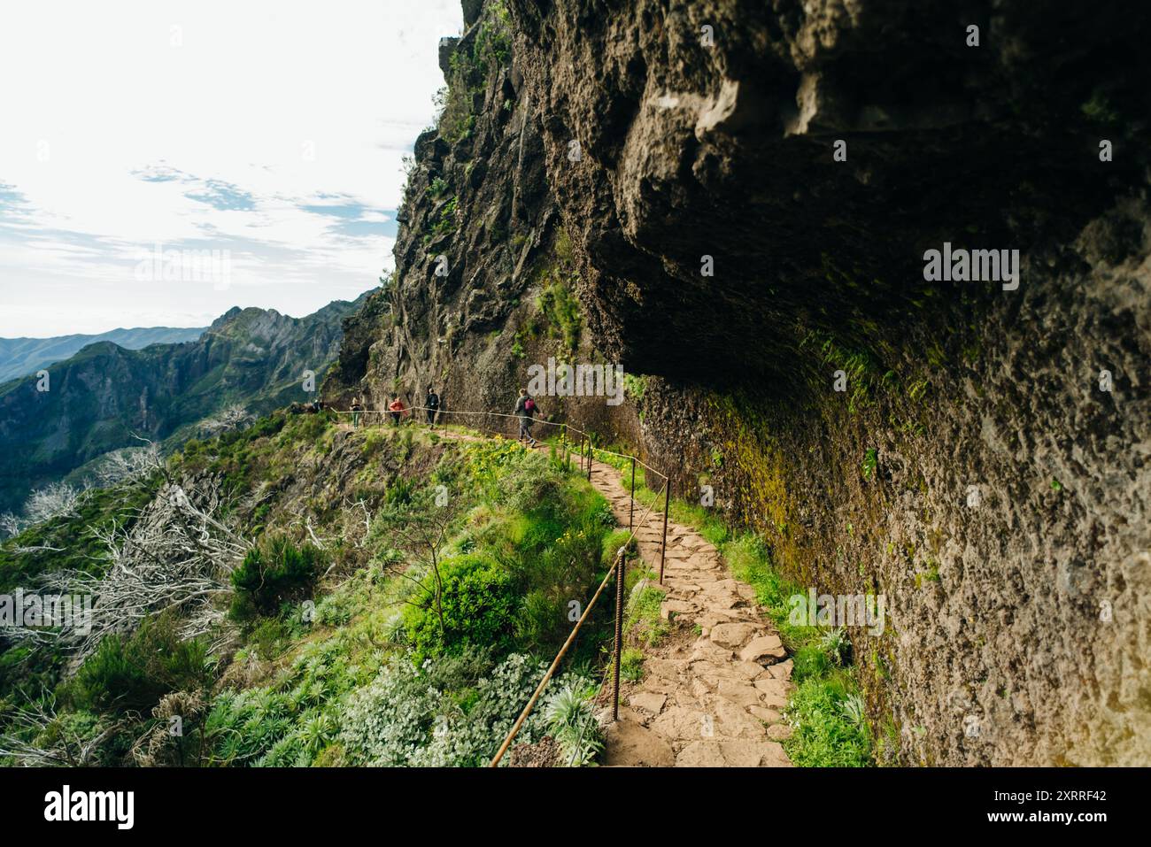 Pr 1 madeira hi-res stock photography and images - Alamy
