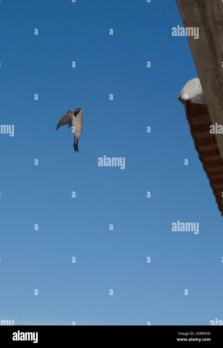 Dark western hi-res stock photography and images - Alamy