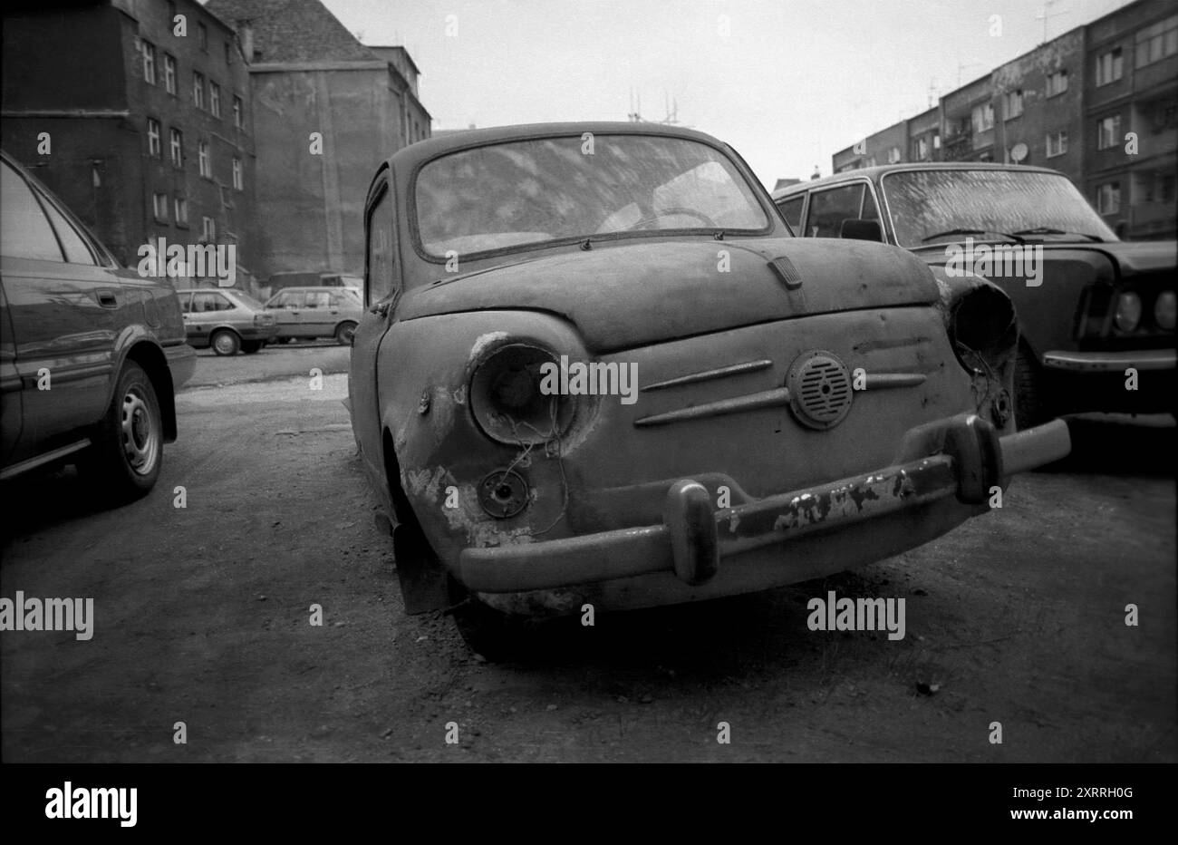 Fiat 500, car auto classic, FIAT 500,retro, shiny, speed, steering ...