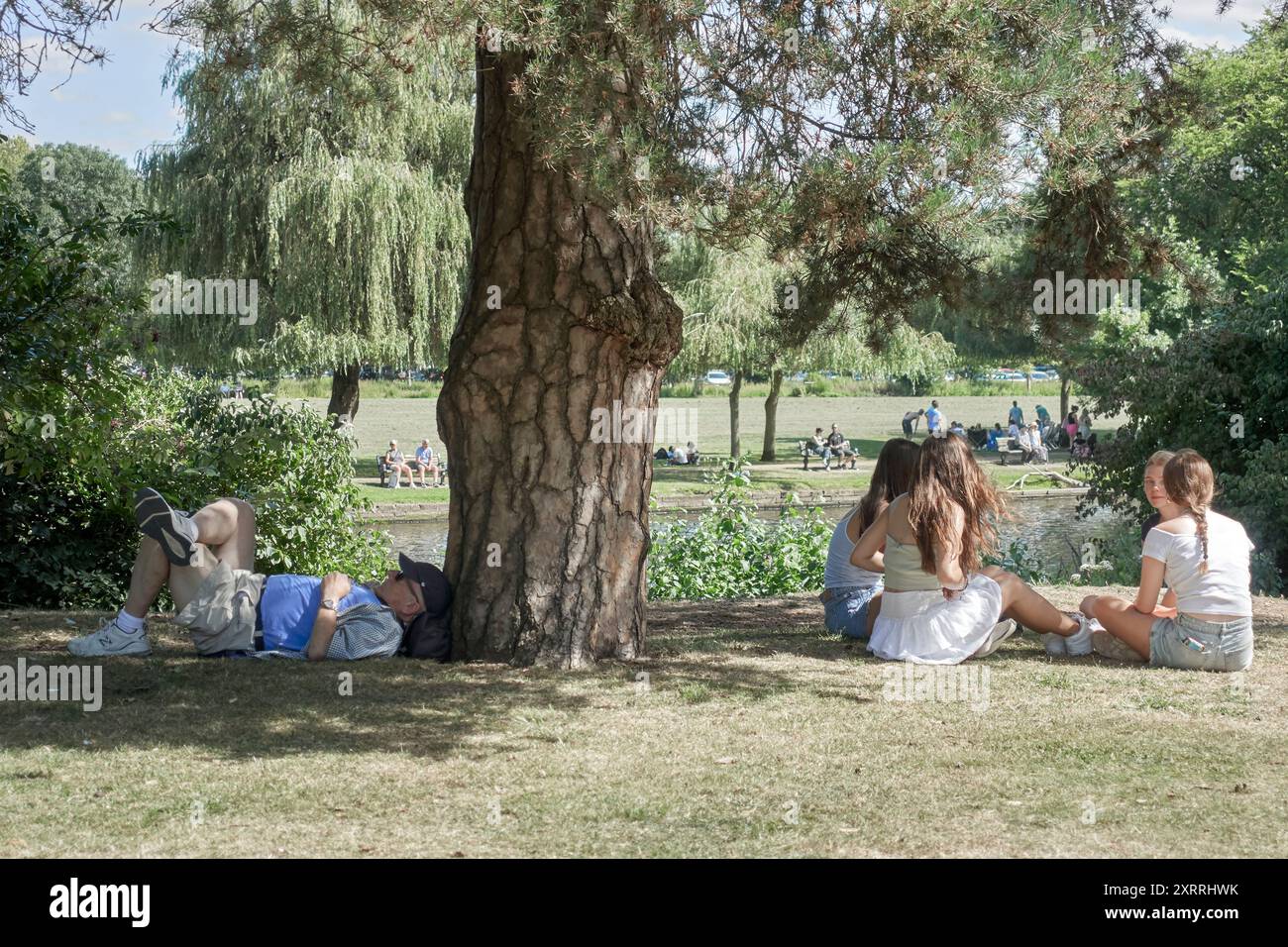 Man sleeping under a tree whilst the female members of the family sit ...