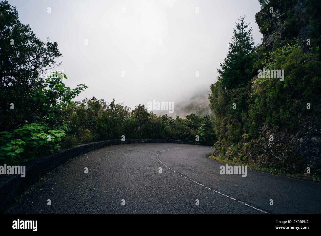 wet road after rain in the forest. High quality photo Stock Photo - Alamy