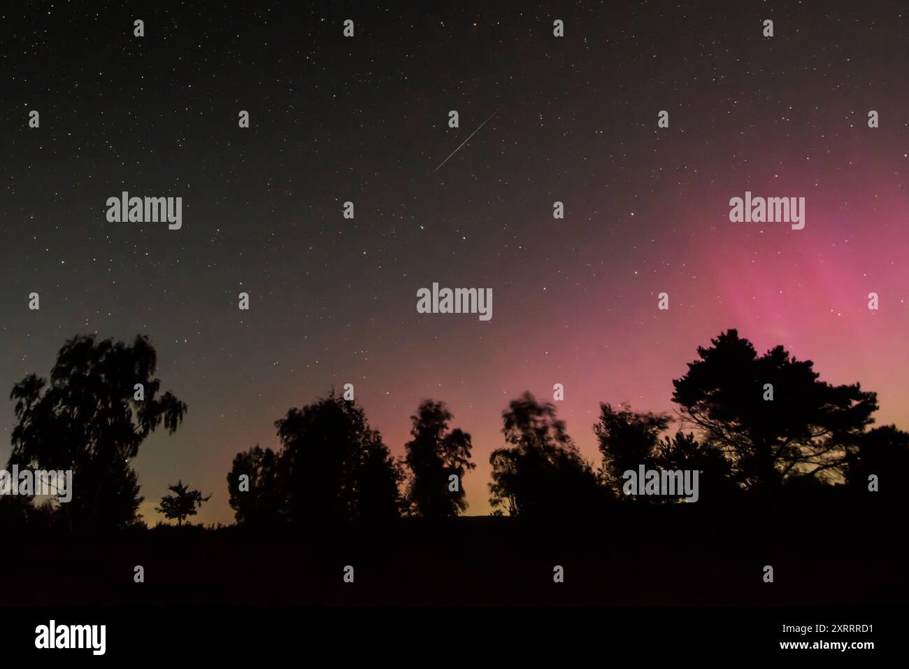 aurora borealis, northern lights, with shooting star above Ursa Major ...