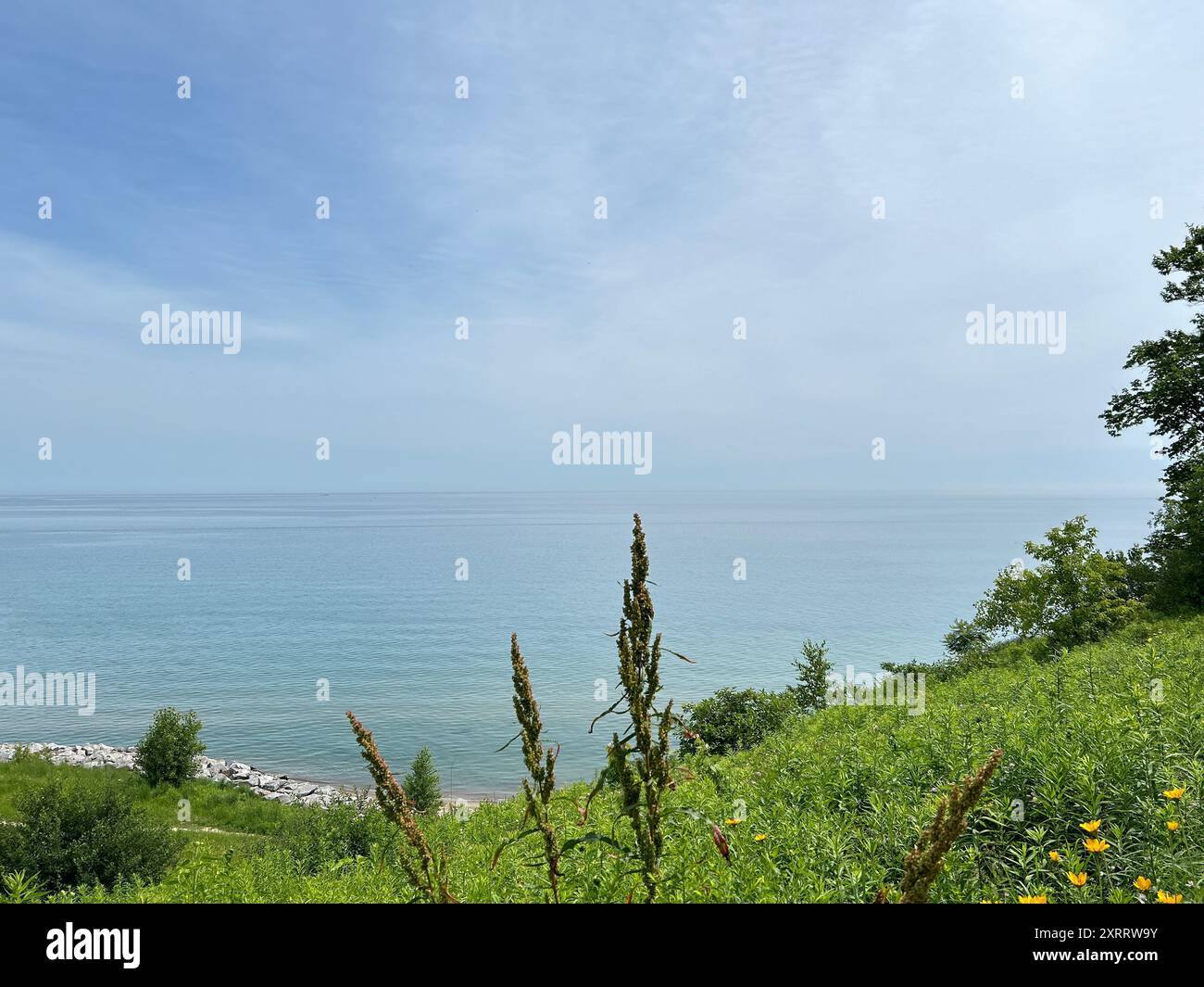 A scenic view of Lake Michigan with greenery on the South Milwaukee ...