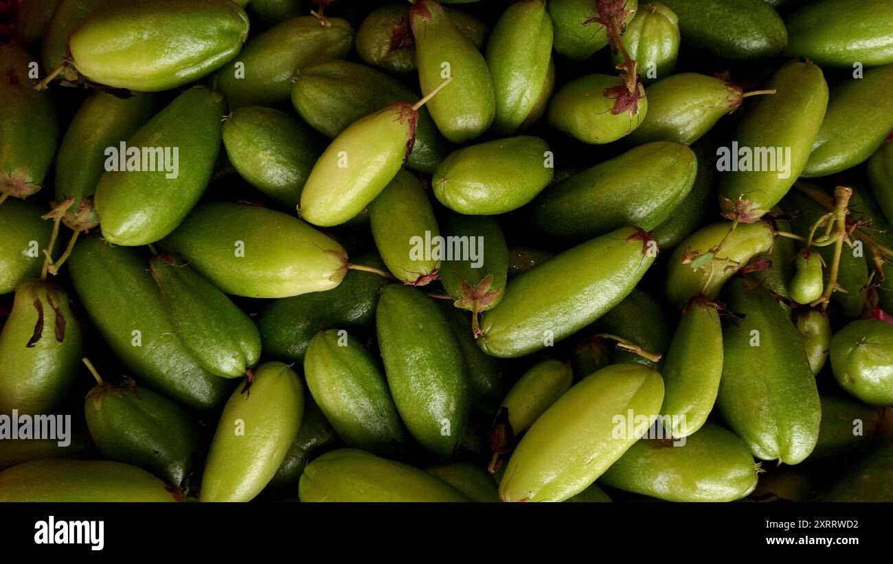 detailed texture and pattern Bilimbi fruit (Bilimbing, Averrhoa bilimbi ...