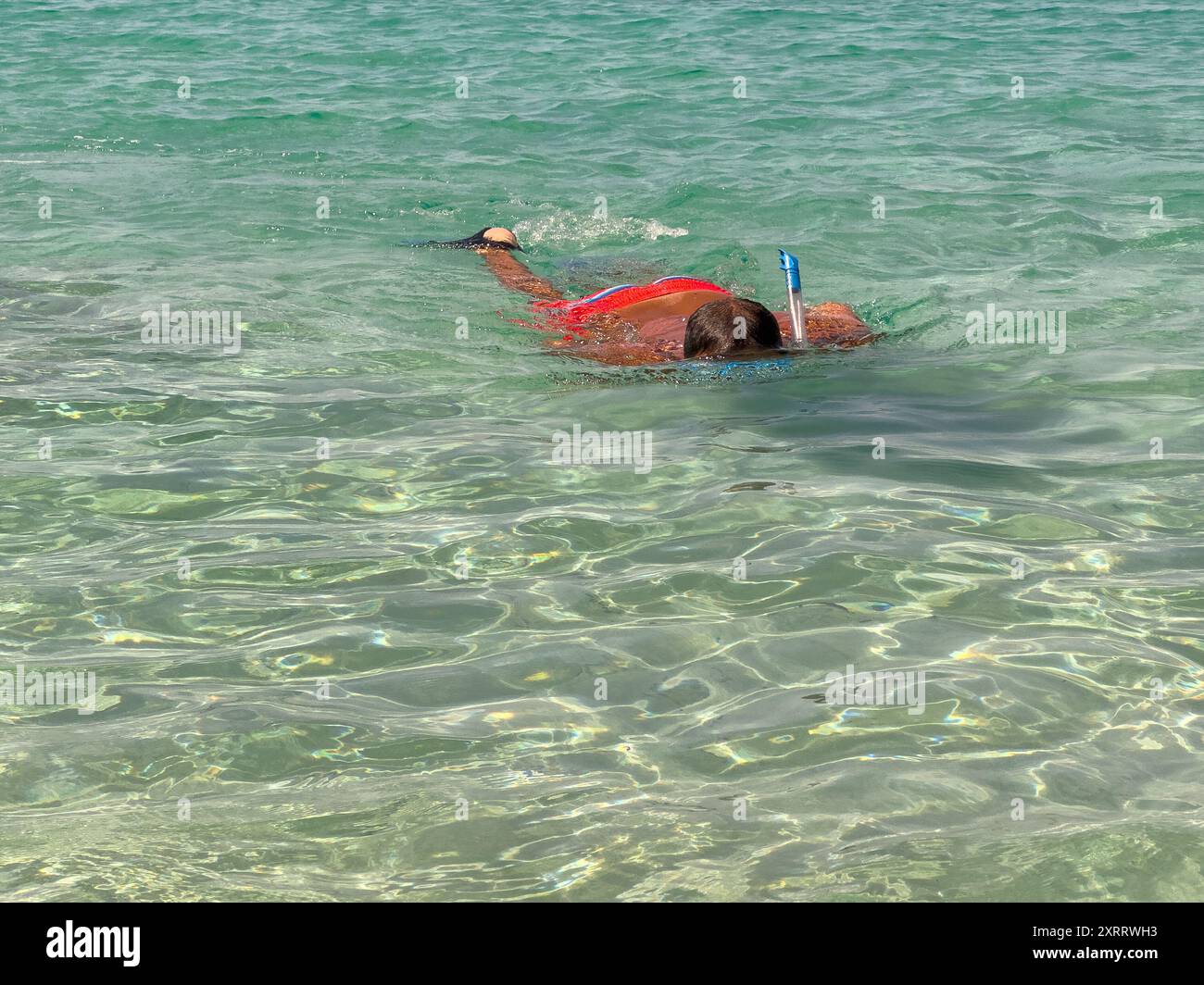 Man snorkeling in clear sea water Stock Photo - Alamy