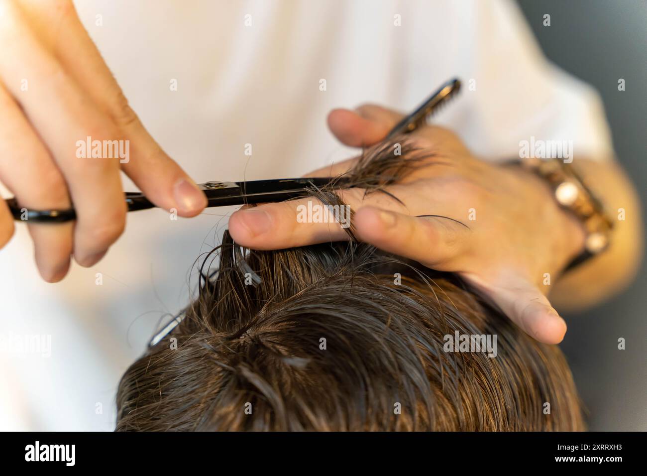 Barber cutting hair with scissors Stock Photo - Alamy